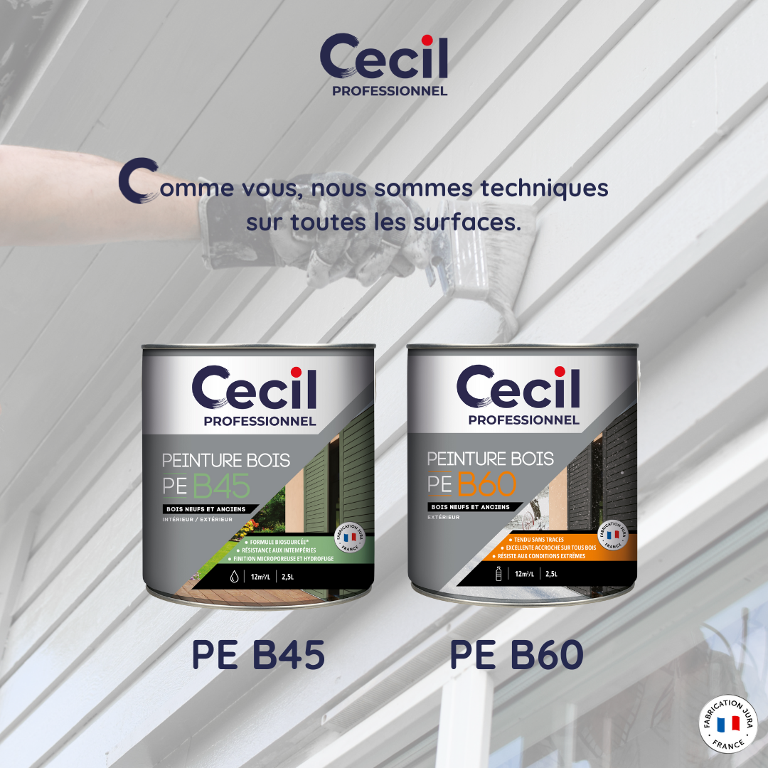 Cecil Professionnel | Peintures, lasures, entretien, protection ...